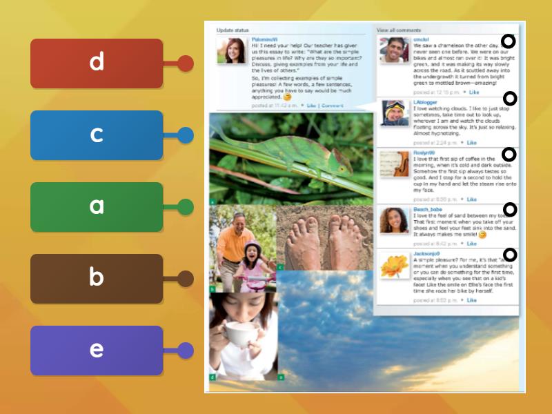 12.3 SIMPLE PLEASURES - Labelled diagram