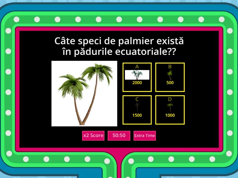 Păduri ecuatoriale - QUIZ - Concurso de preguntas