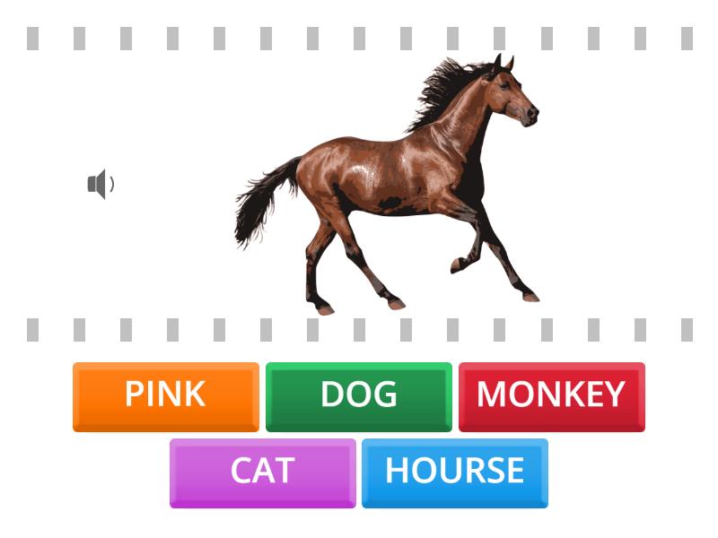 Une las palabras con su significado - Find the match