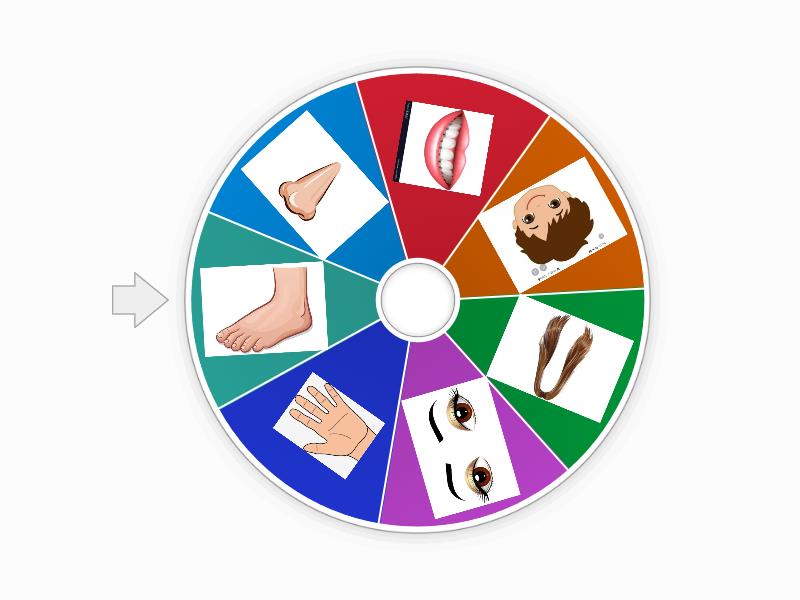 les parties du visage - Random wheel