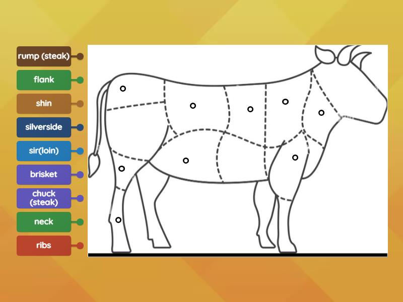 Cuts of meet - beef - Labelled diagram