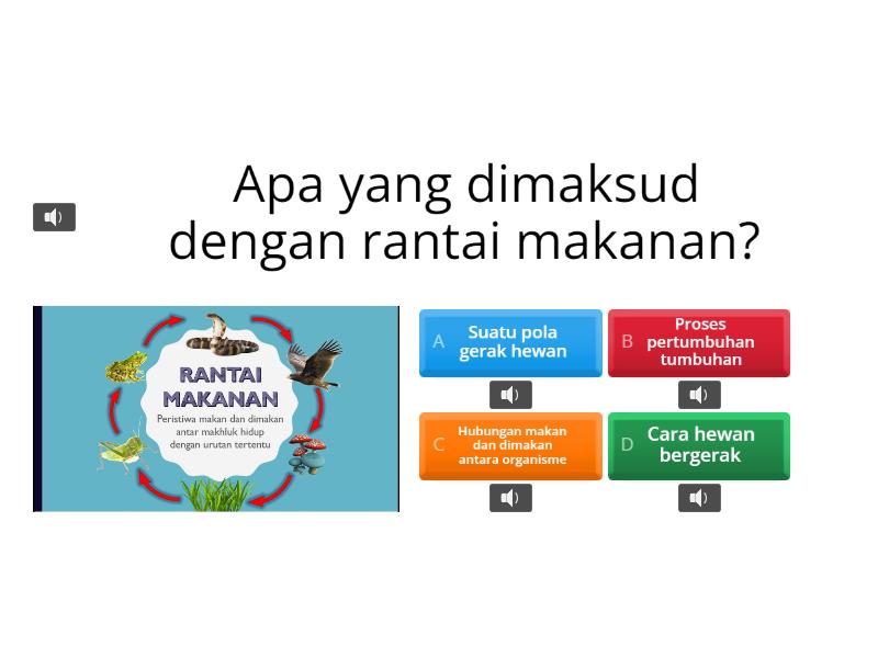 GAMES RANTAI MAKANAN - Quiz