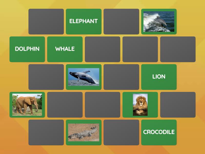 wild animals - Matching pairs
