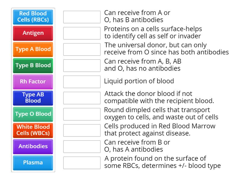 BLOOD Facts - Match up
