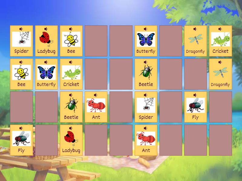 Insects - Matching pairs