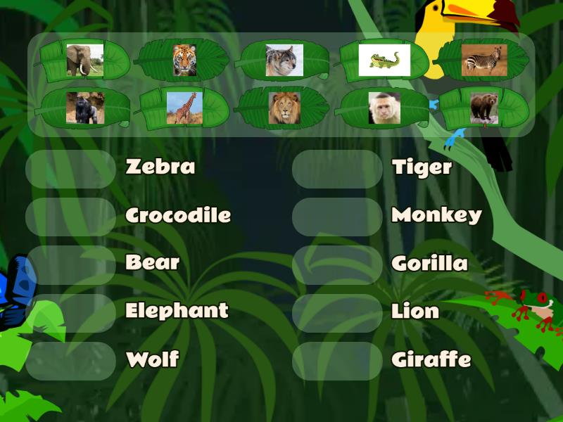 Wild Animals. - Match up