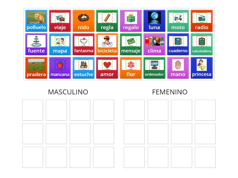 Sustantivos masculinos y femeninos - Group sort