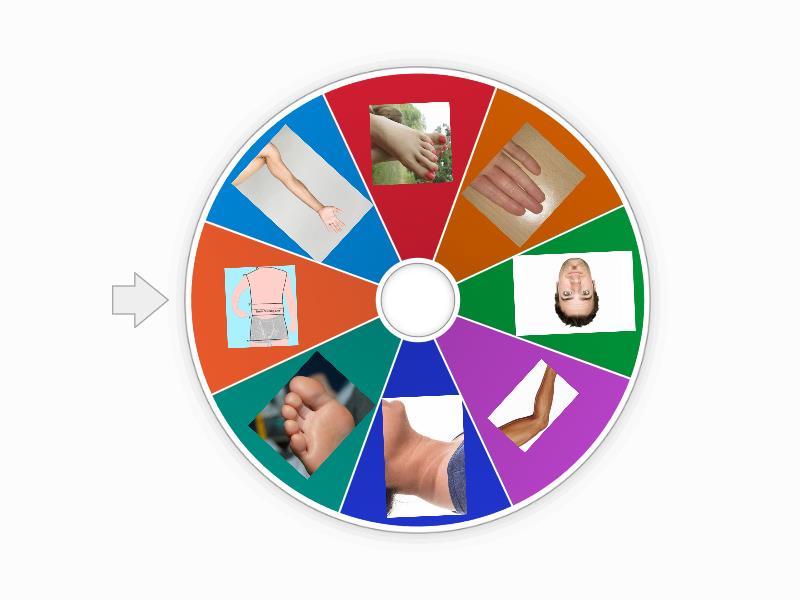 Body part spinner - Spin the wheel