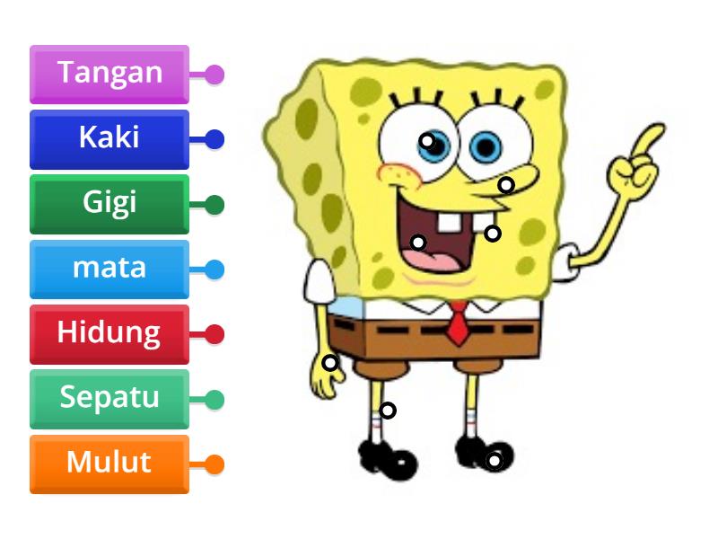 Spongebob - Labelled diagram