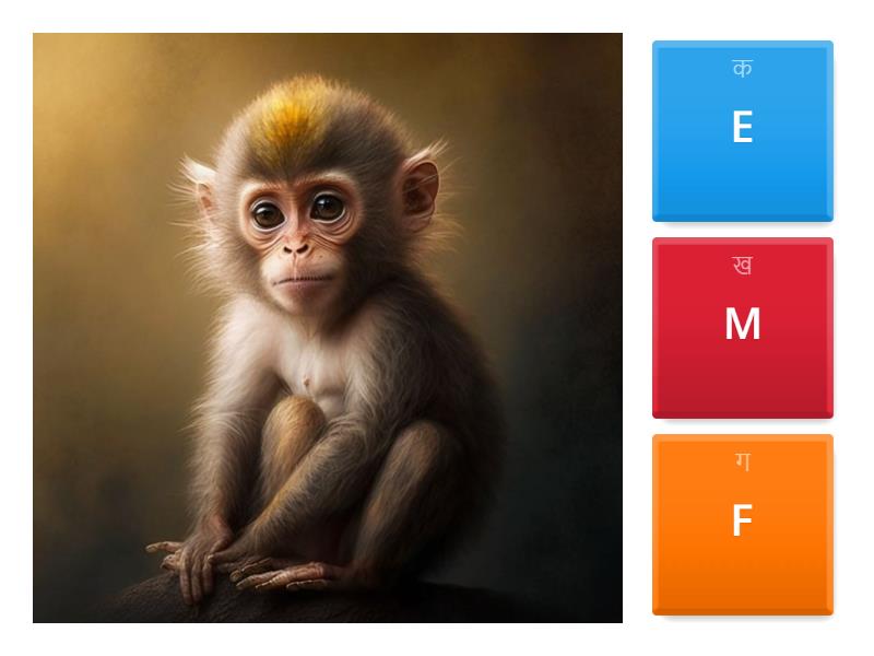 Pick the correct letter - Quiz