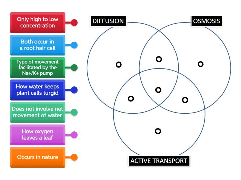 Diffusion, osmosis, active transport - Labelled diagram