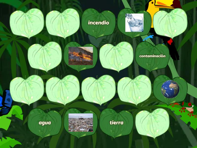 MEDIO AMBIENTE - Matching pairs