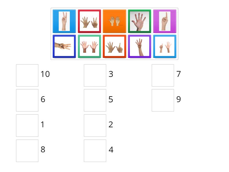 Number sense fingers - Match up