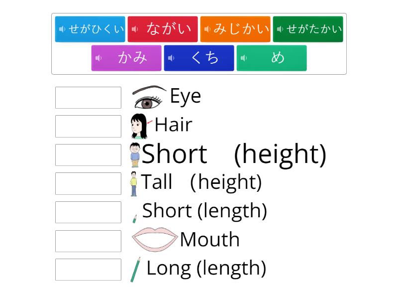 Unit 7 Parts of the Body / Adjectives - Match up