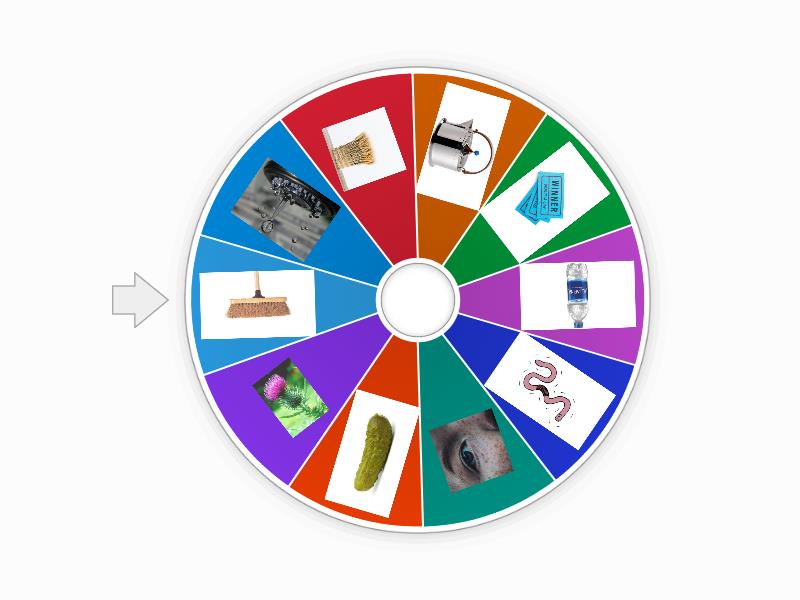 Cle Spelling Words - Spin the wheel