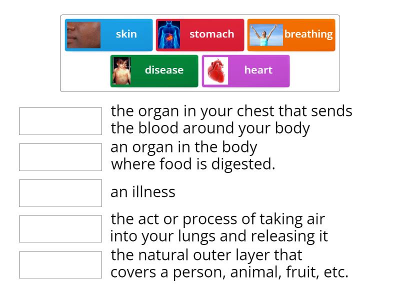 Medical Nouns - Match up