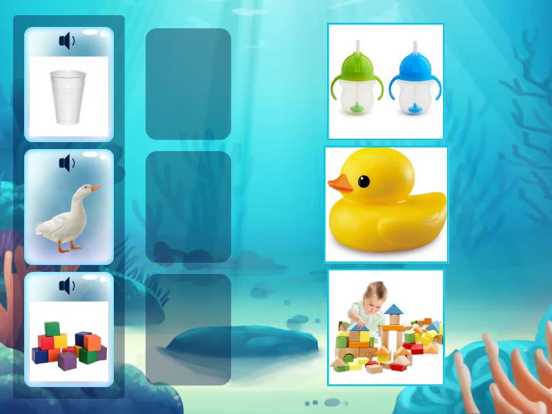 Receptive ID 1 - Match up