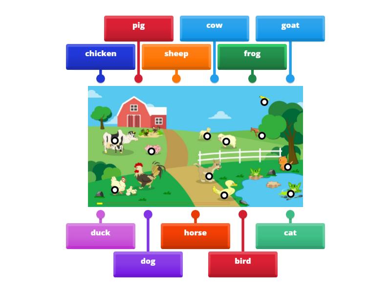 Farm Animals - Labelled diagram