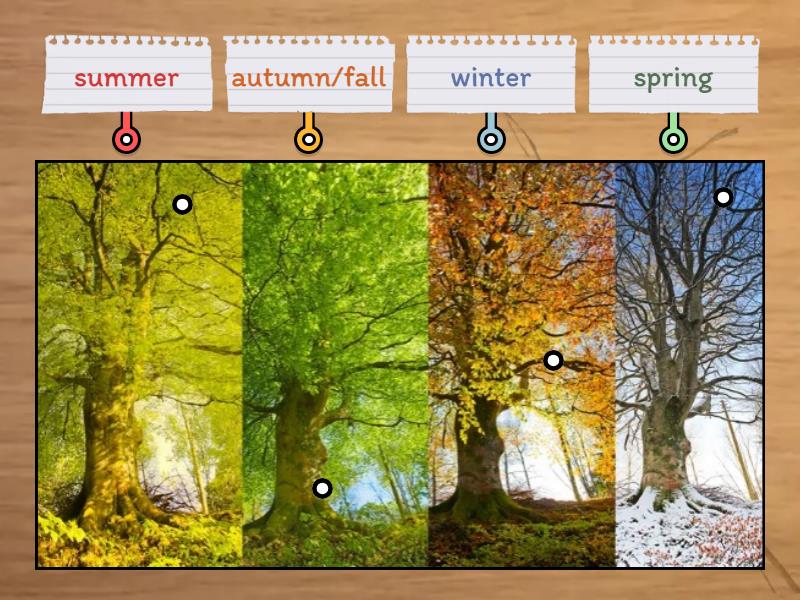 SEASONS - INTRODUCTION - Labelled diagram