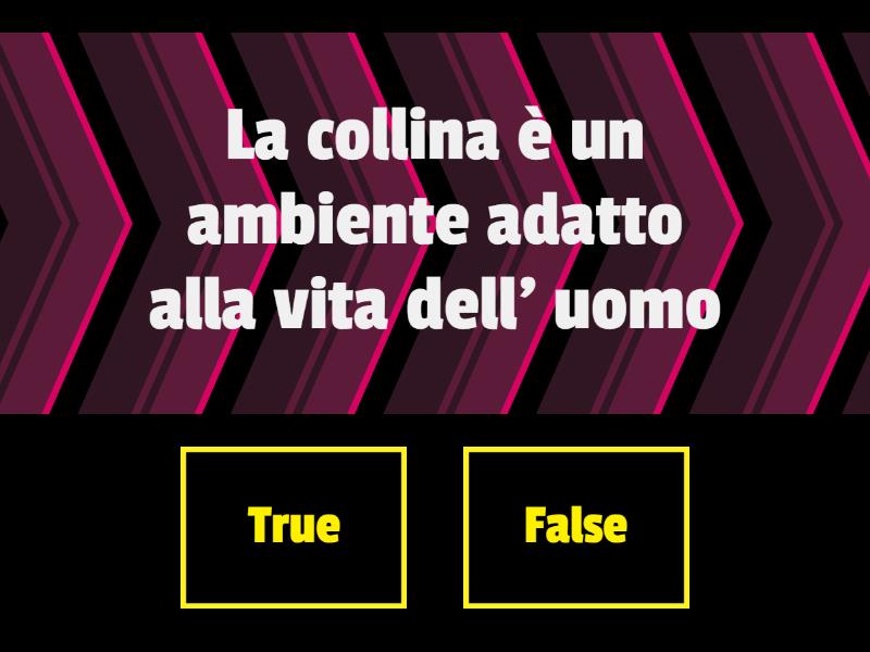 L' UOMO IN COLLINA - True or false