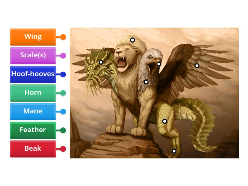Animal body parts 2 - Labelled diagram