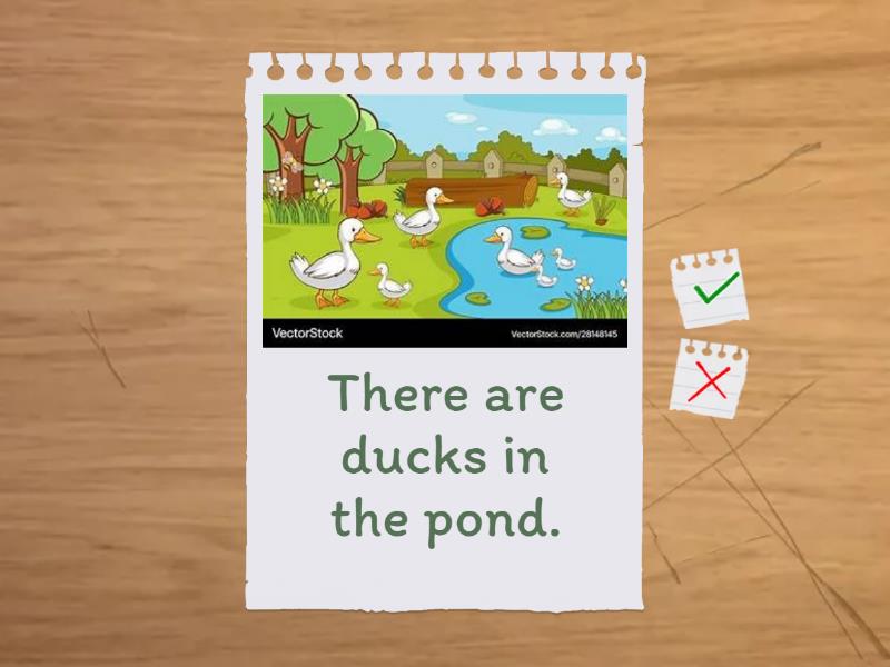 Thuyết trình - Raz b - Pond Life - Flash cards
