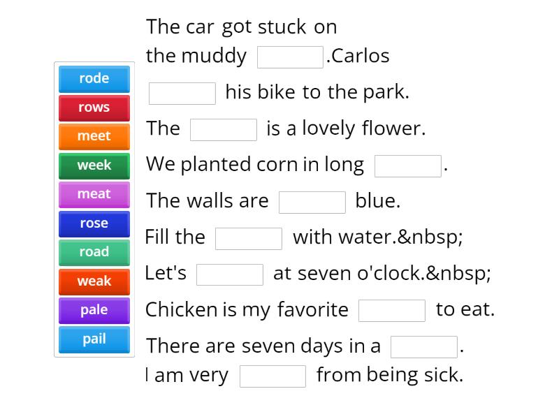 Homophones Lesson 3 - Missing word