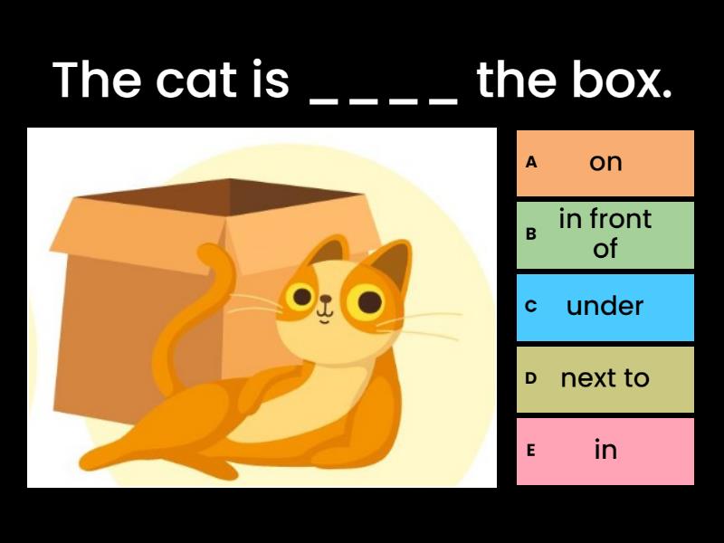 Prepositions of place | The cat & the box - Test