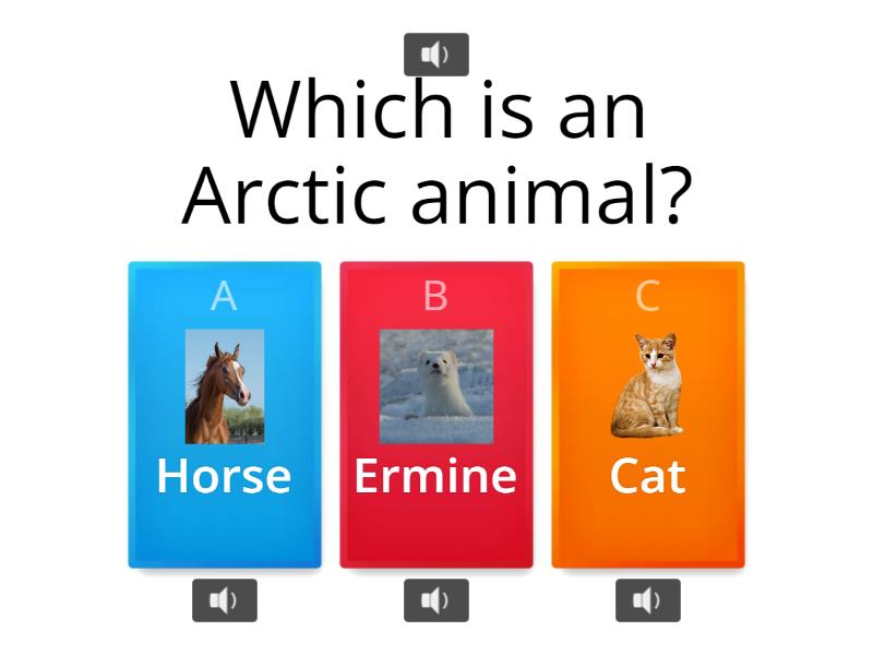 Which are Arctic Animals? - Quiz
