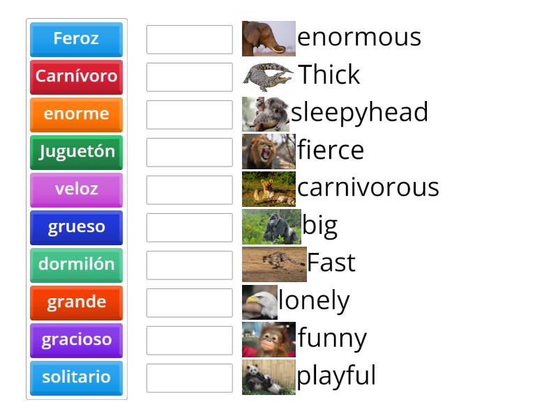 Adjetivos para describir animales - Match up