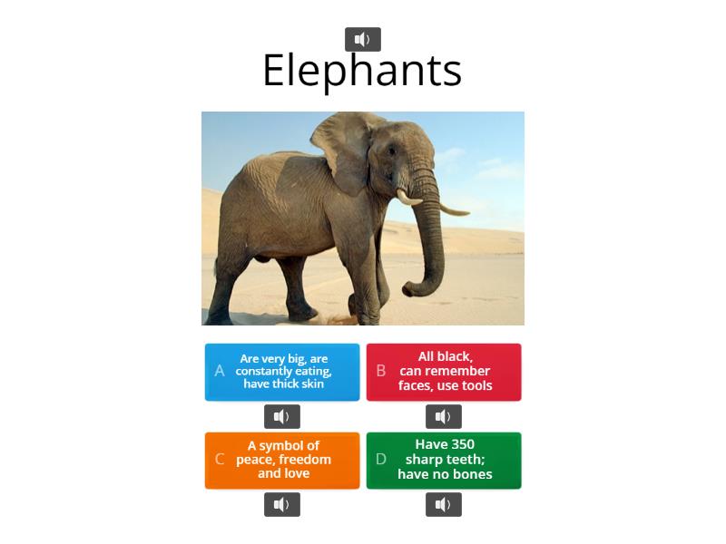 : Animal Facts - Animal Definition (clue) - 342 - Quiz