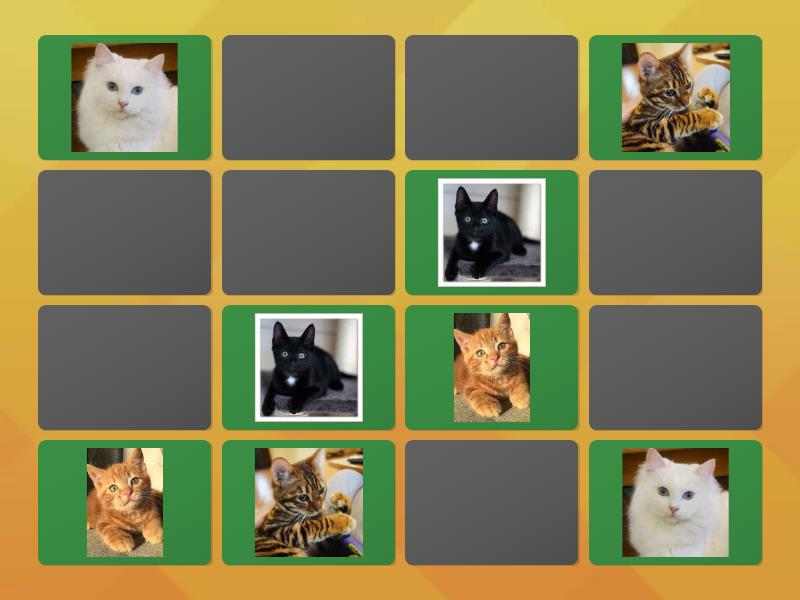 Matching Cats - Matching pairs