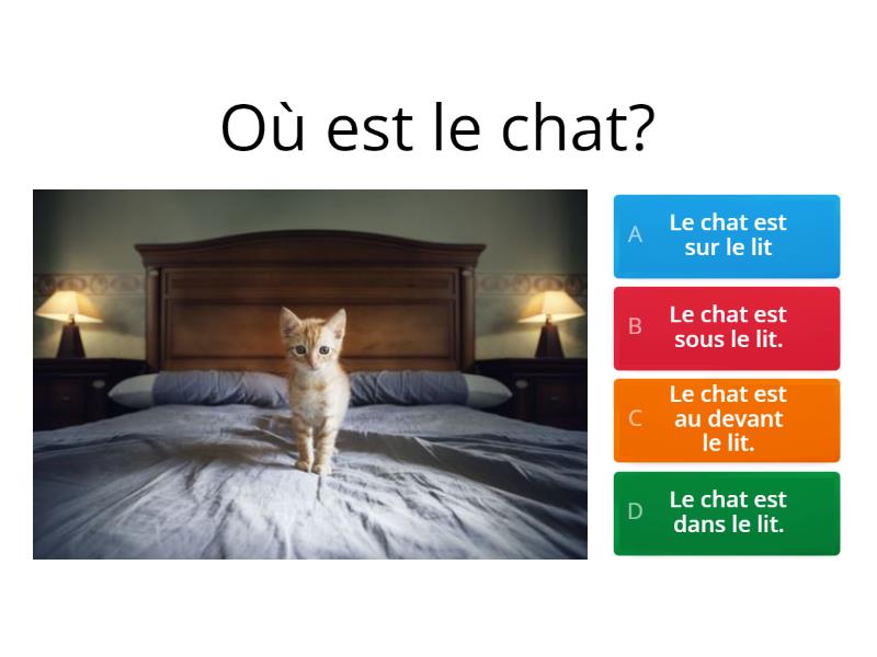 Les prepositions de lieu - Quiz