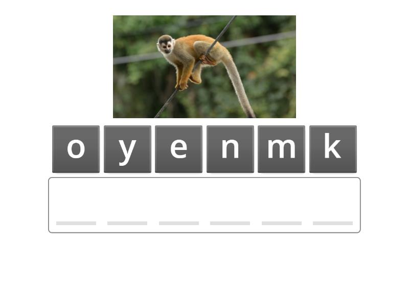 TT2 U8 Voc - Anagram