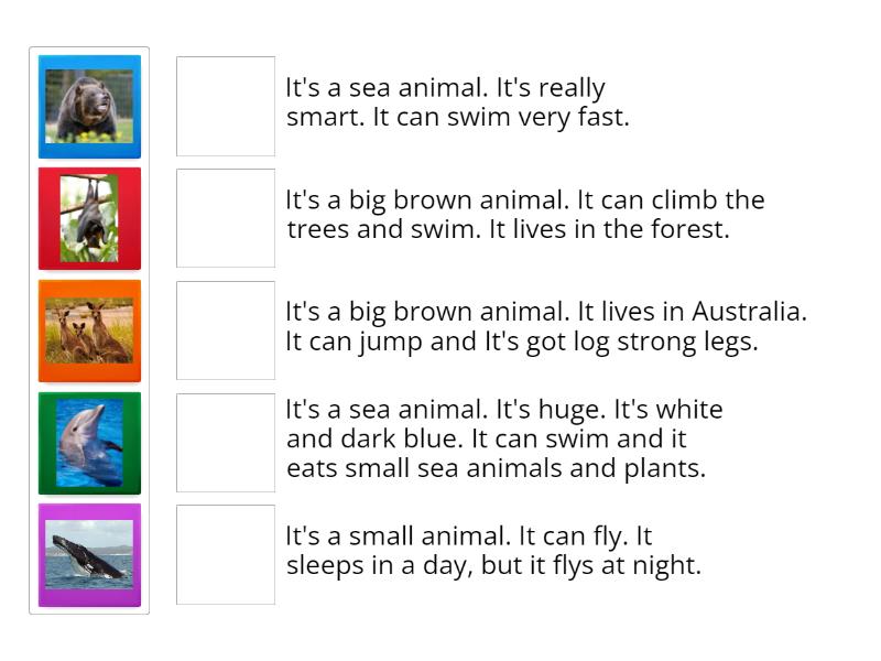 Kids box 3 Unit 8 Animals - المطابقة