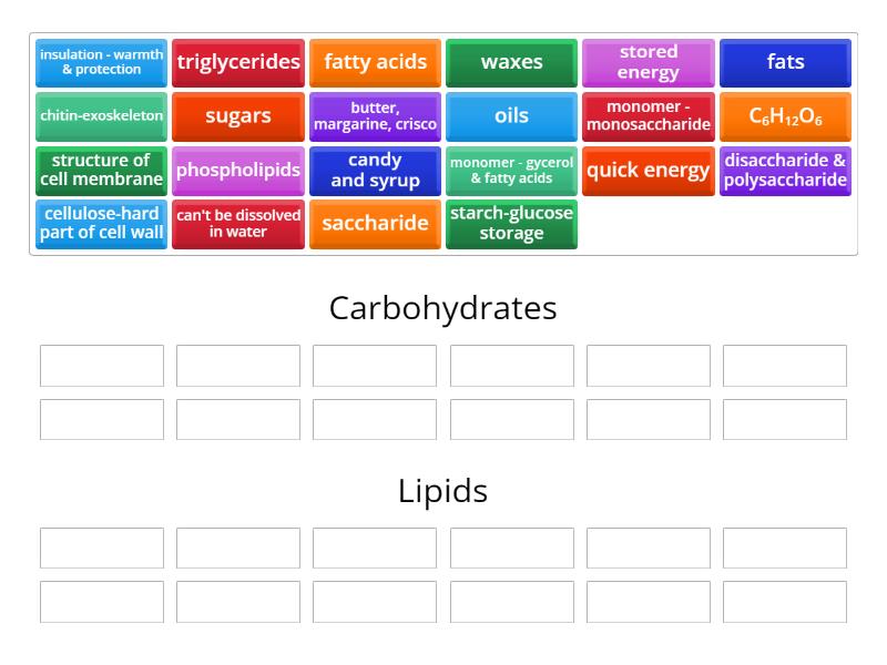 Carbohydrates vs Lipids - Group sort