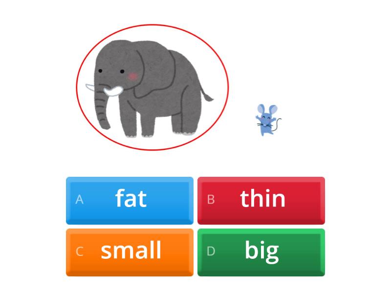 1A Unit 5 Adjectives -fat/thin/ big/ small - Quiz