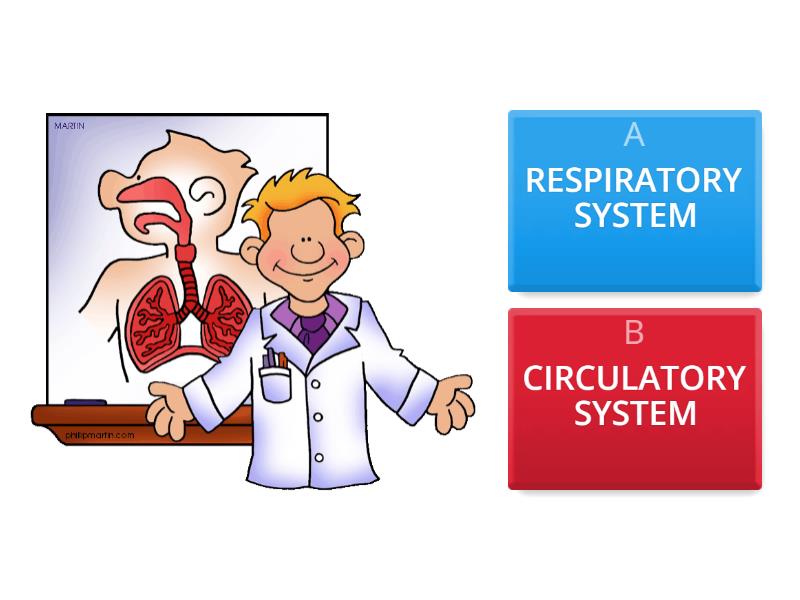 Respiratory and circulatory system - Quiz