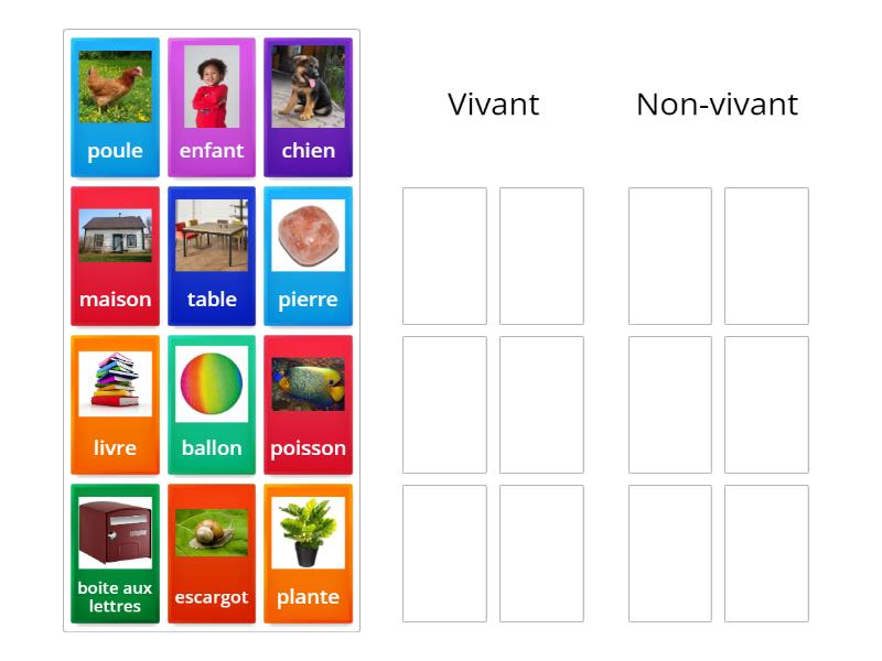 Vivant/Non vivant (2) - Group sort