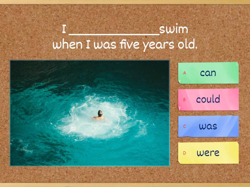 Can/Could/was/Were - Quiz