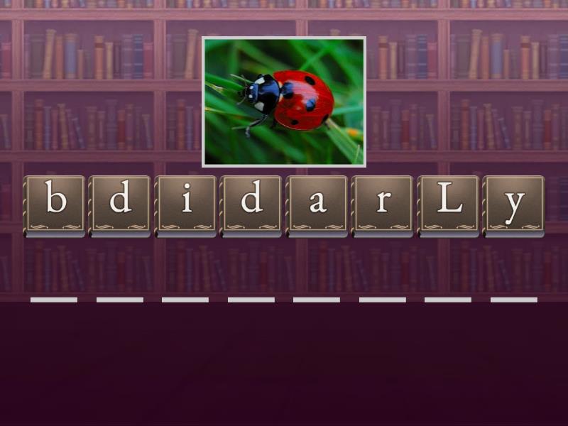 Bugs and insects - Anagram