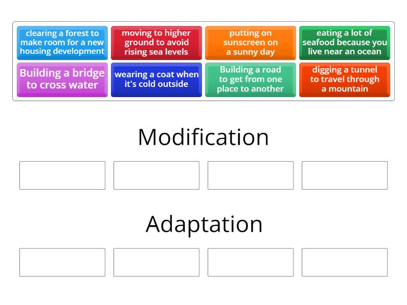 Modification or Adaptation? - Group sort
