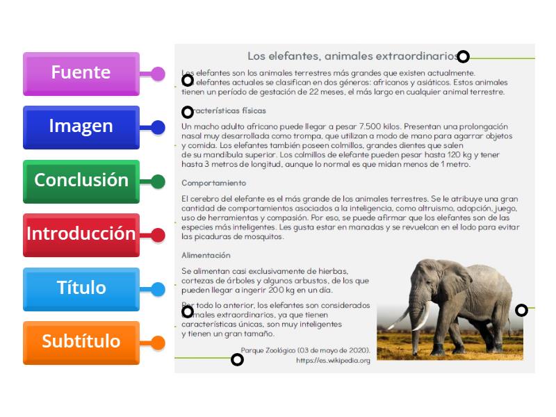 Partes del artículo informativo: - Labelled diagram