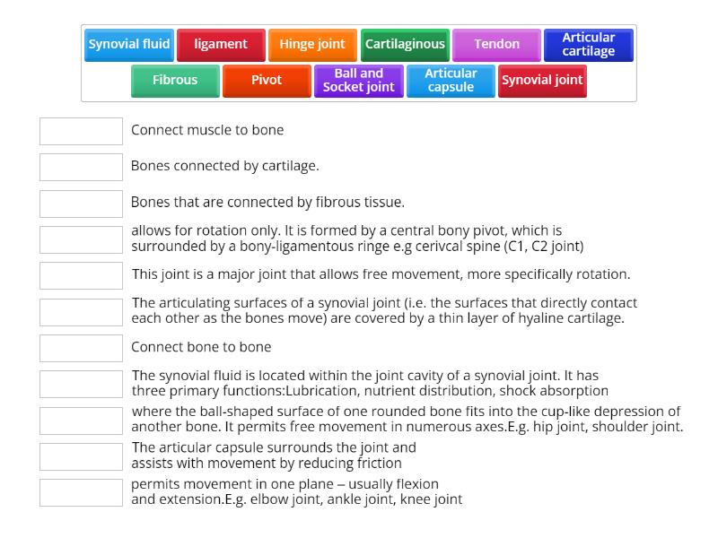 The Skeletal System Joint Classifications Match Up