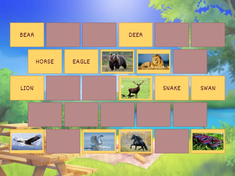 WILD ANIMALS_MEMORY - Matching pairs