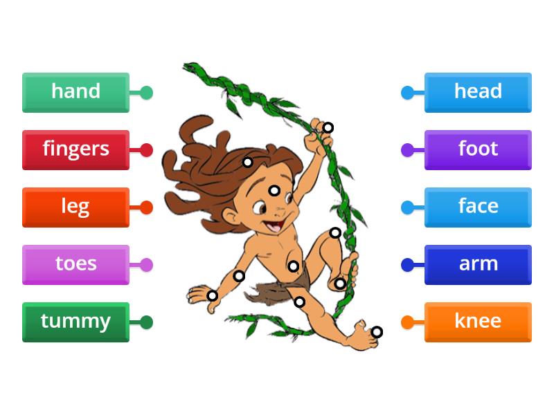 Team together 1 unit 3 body labels - Labelled diagram