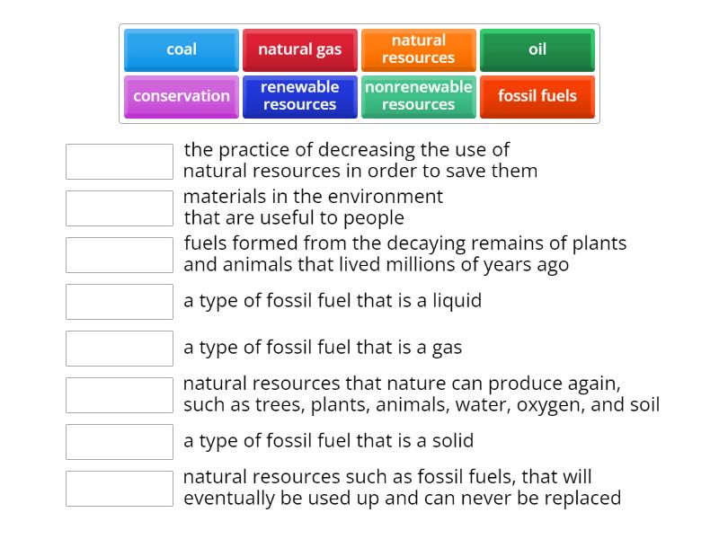 Natural Resources & Fossil Fuels Vocabulary 8 - Match up