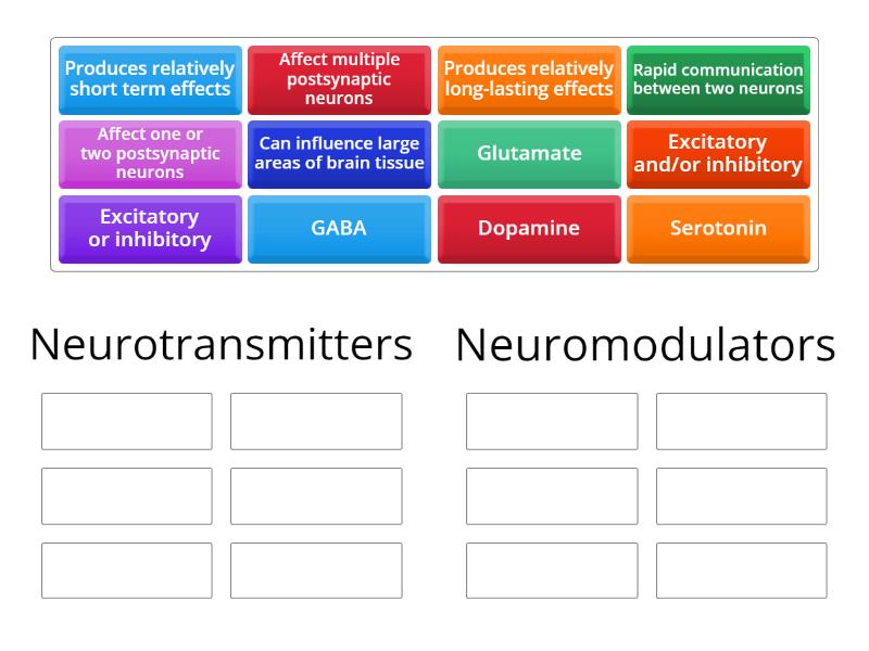 2C Neural Transmission - Group sort