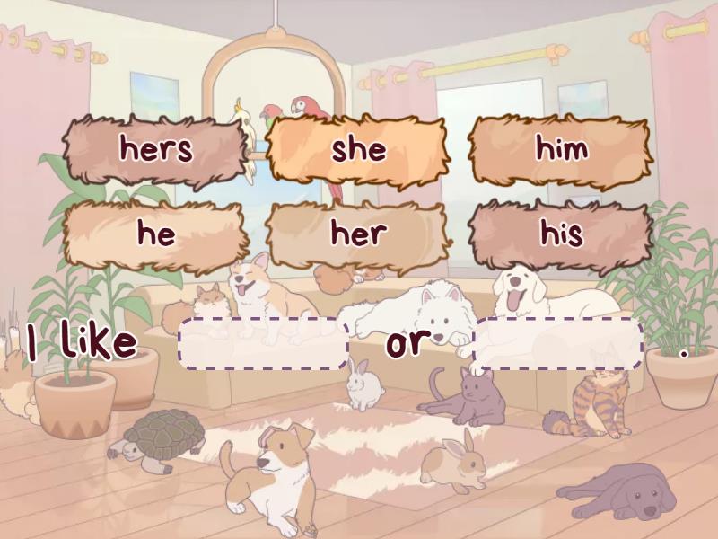 He/His/Him vs. She/Hers/Her Game - Complete the sentence