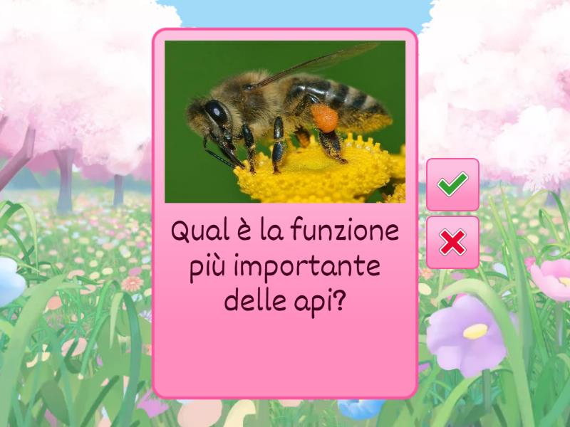 Il mondo delle api - Flash cards